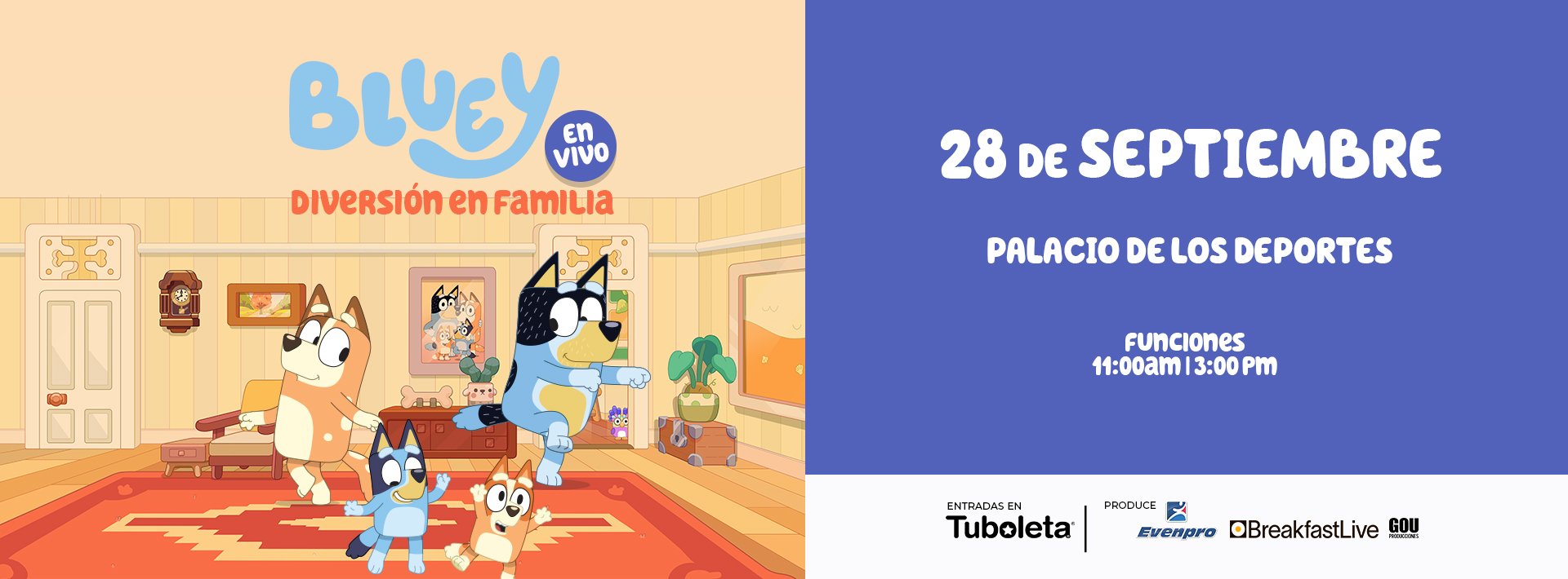 Bluey Diversión en Familia